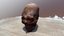 Paracas Peru Elongated Skulls #3 - 3D model by fipalive2 [1e95613 ...