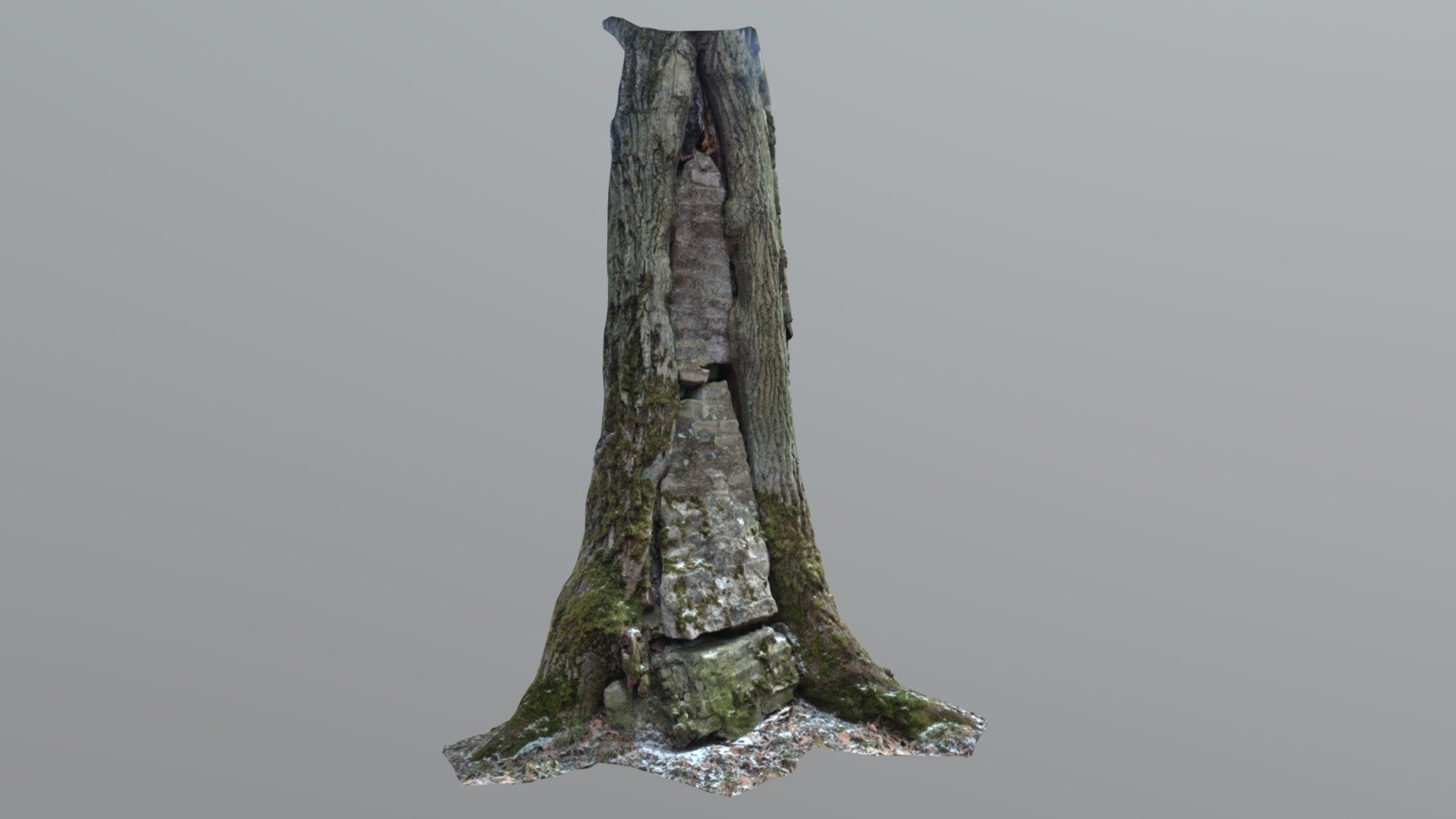Tree_ Bricks_001 - 3D model by KohalikScanned [1e9d591] - Sketchfab