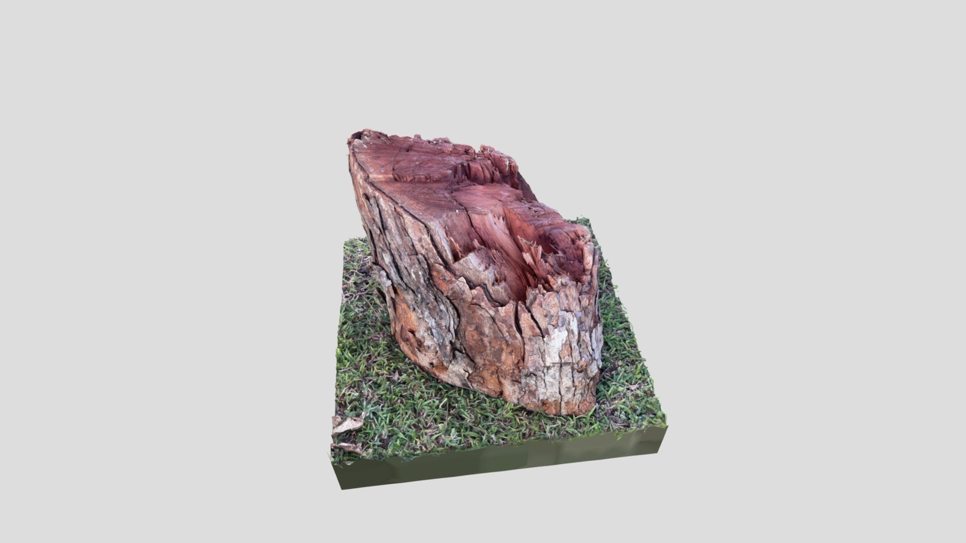 Outdoor Tree trunk - Download Free 3D model by Ellectropic (@Mesthersz ...
