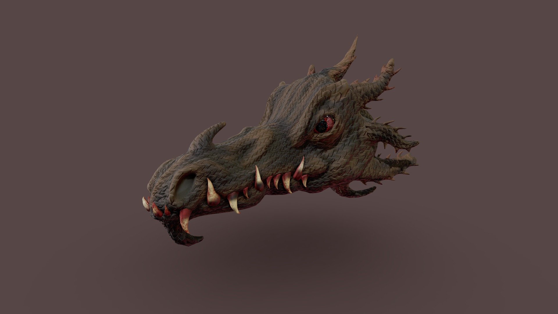 Dragon Head | Retopologized version - Download Free 3D model by ...
