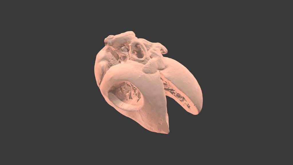 fav - A 3D model collection by SaWWerT - Sketchfab