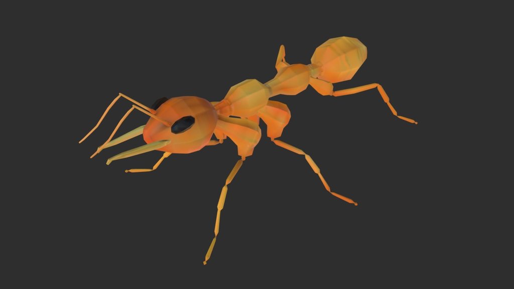 Ant - 3D model by Nyapurgisnacht (@Nyasei) [1ea8bd8] - Sketchfab