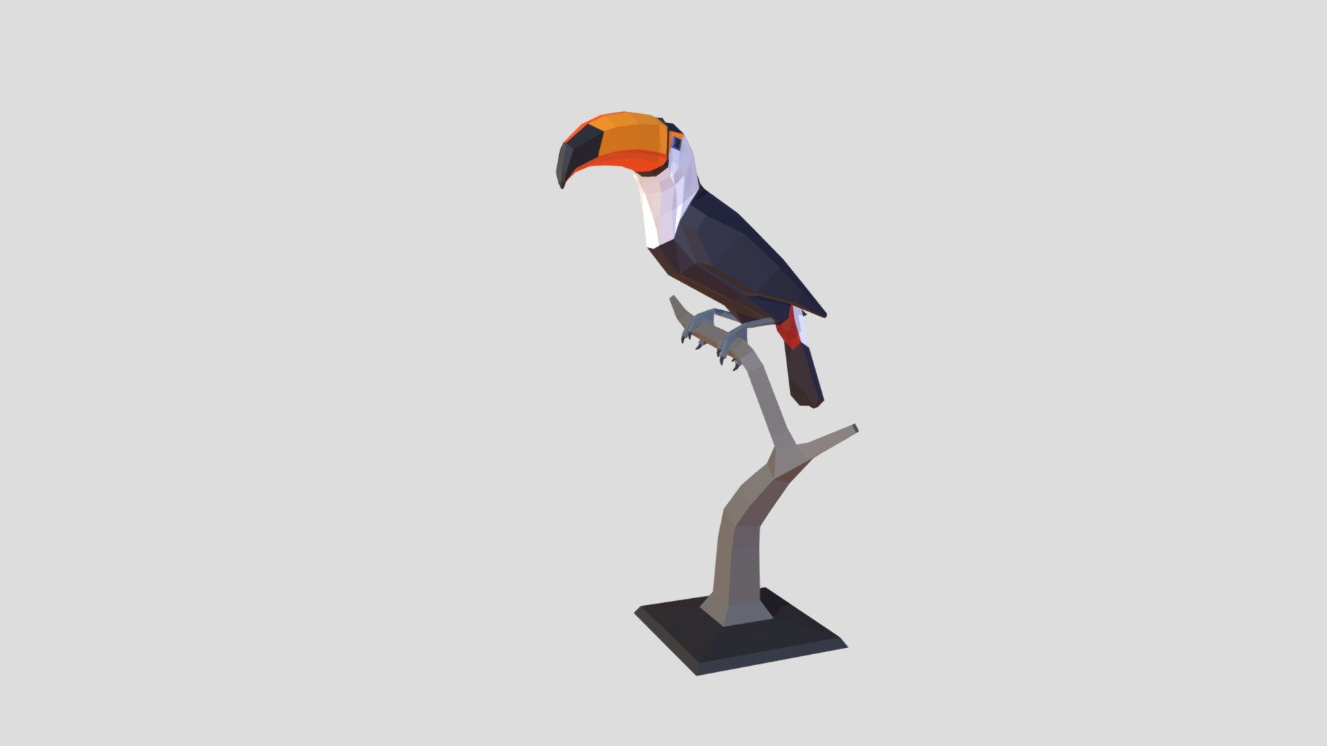 Toco Toucan - Ramphastos toco - 3D model by JGroothoff [1eab769 ...