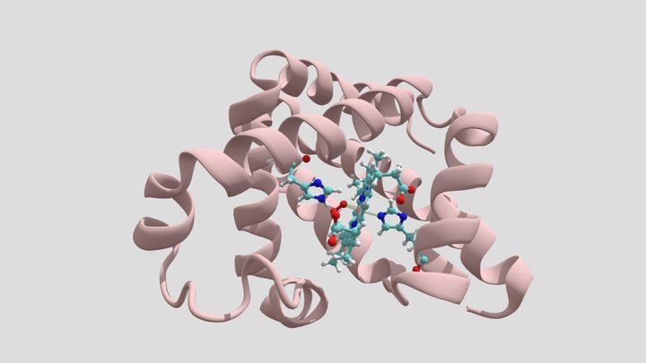 Heme 3D models - Sketchfab