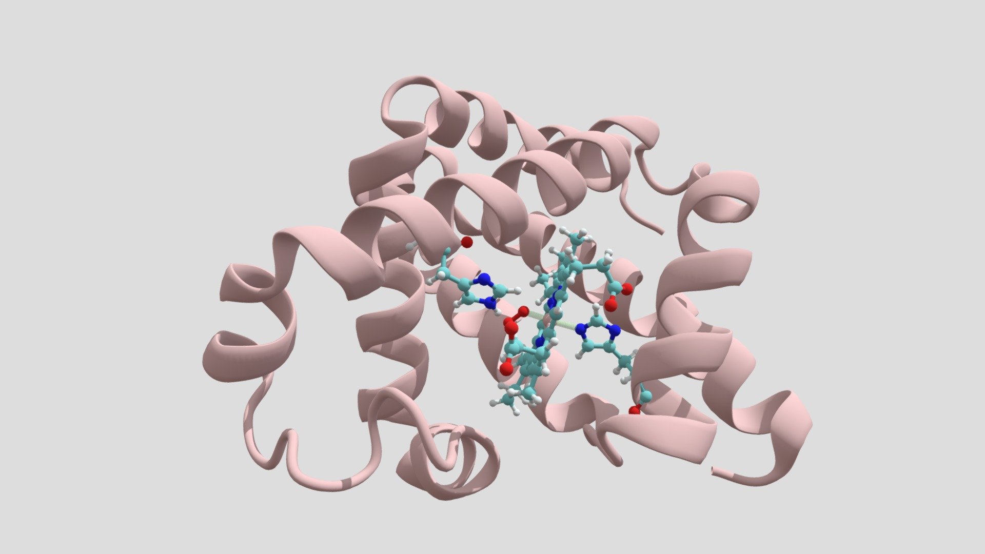 Myoglobin - Download Free 3D model by gvsuchem (@gvsu-chem) [1eaeb8c ...