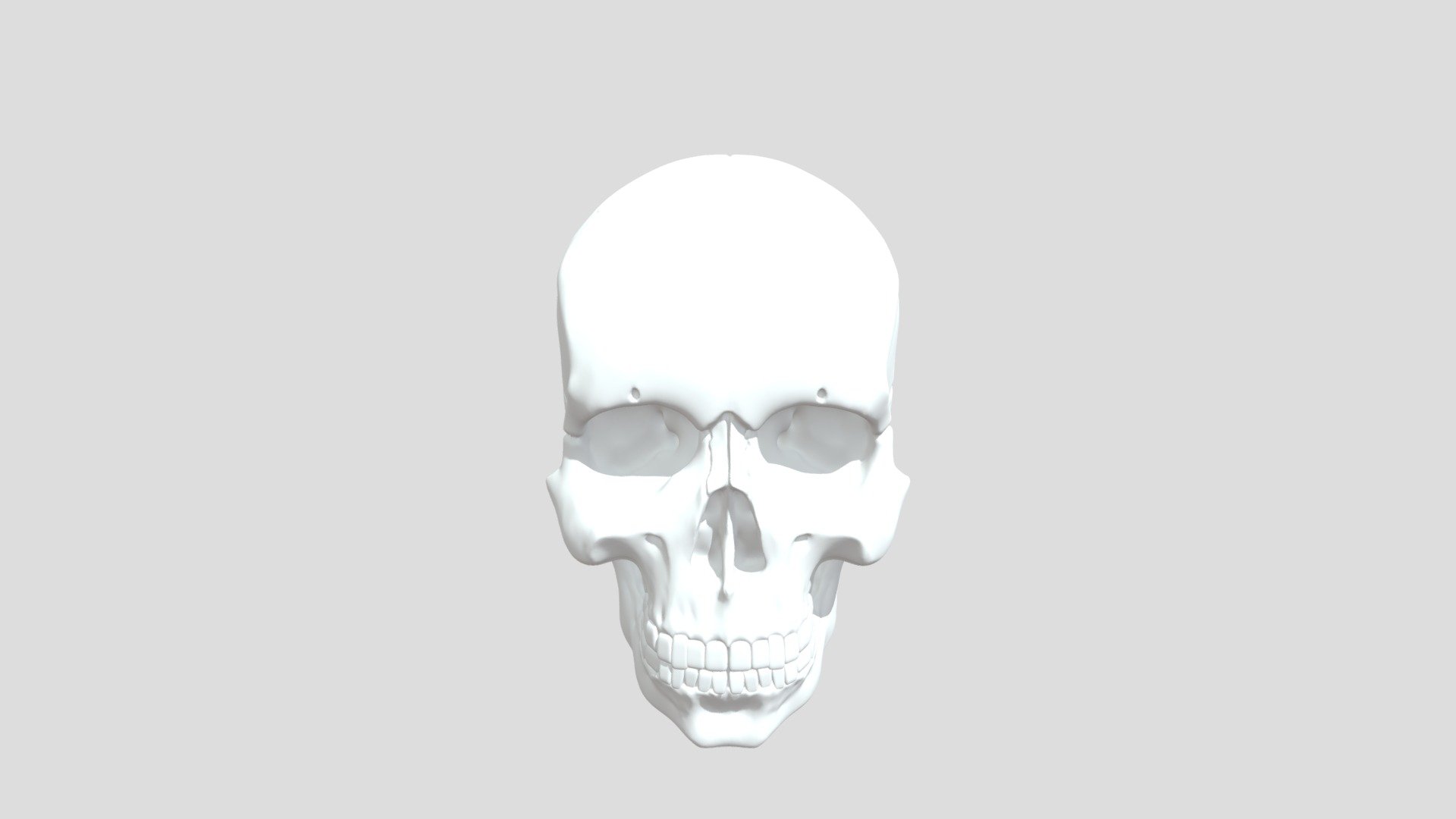Yorick's skull - 3D model by MehtabWaraich [1eb062a] - Sketchfab