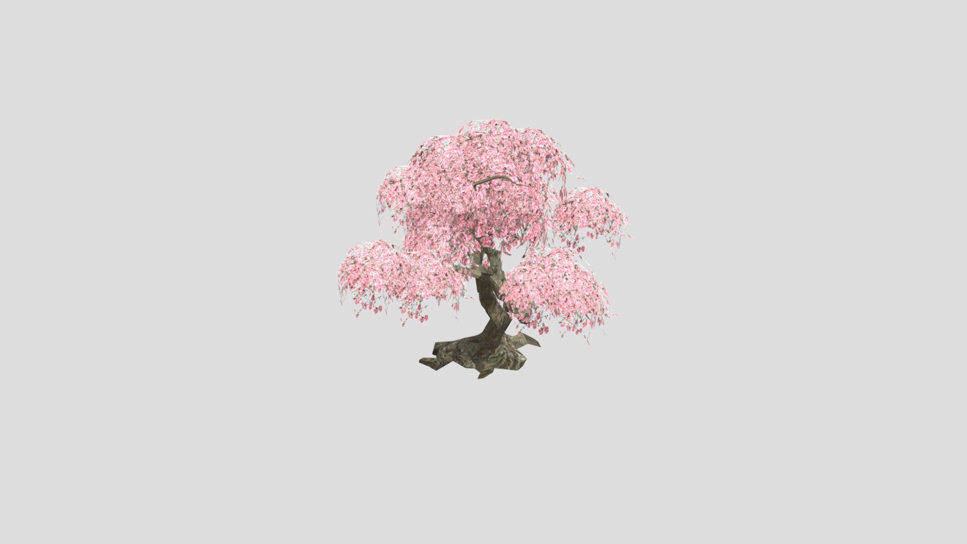 CherryTreeFinal02 - 3D model by gerardocovo [1eb1a50] - Sketchfab