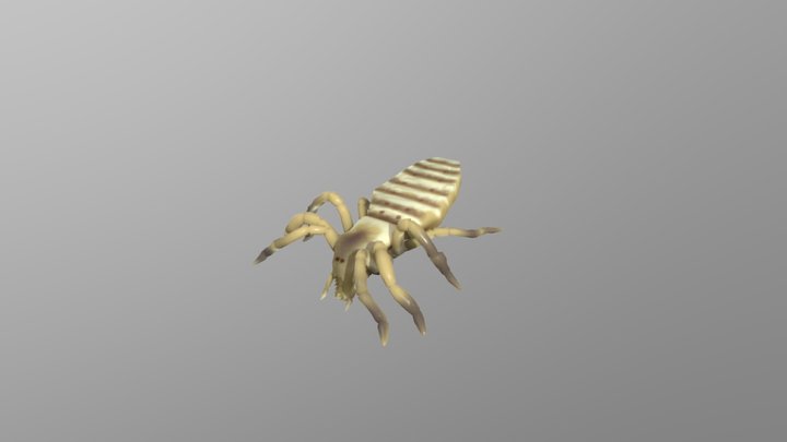 Rhynie 3D models - Sketchfab