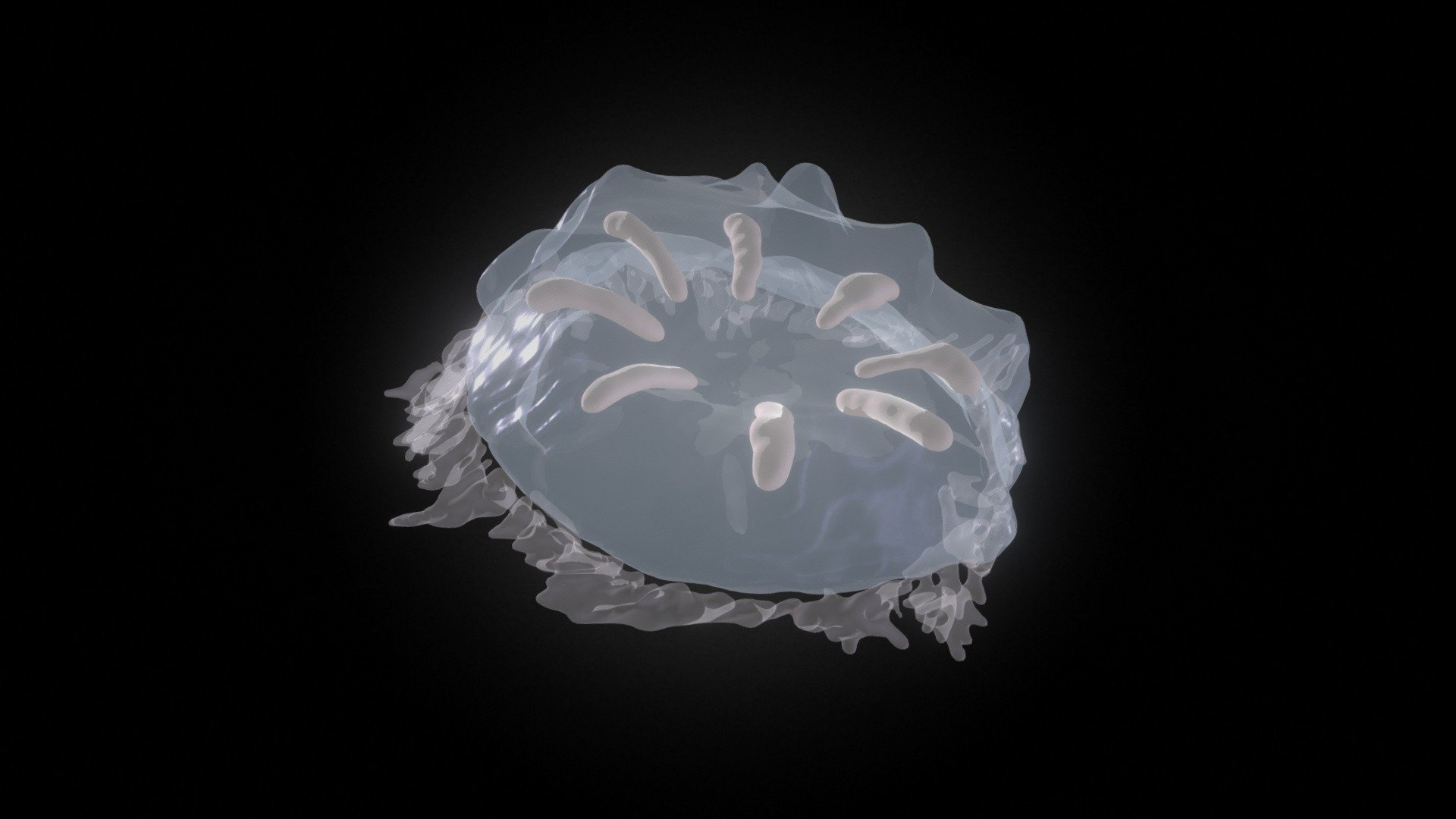 DeepPIV 3DR - Warty jelly (Halicreas minimum) - Download Free 3D model ...