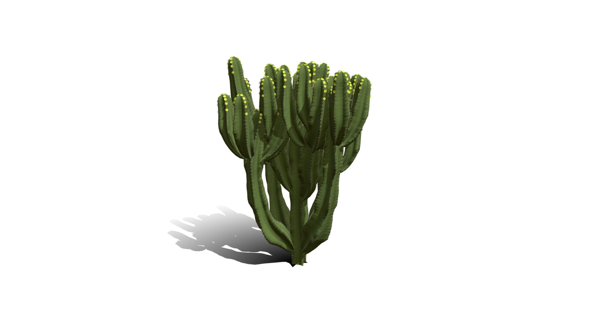 Realistic HD Candelabra tree (16/40) - Buy Royalty Free 3D model by ...