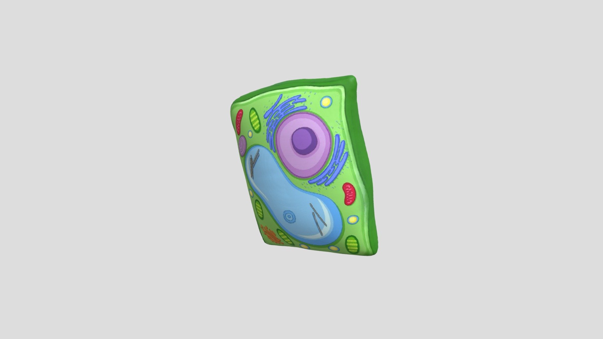 Plant Cell and Function - Download Free 3D model by kartikamelyowes ...