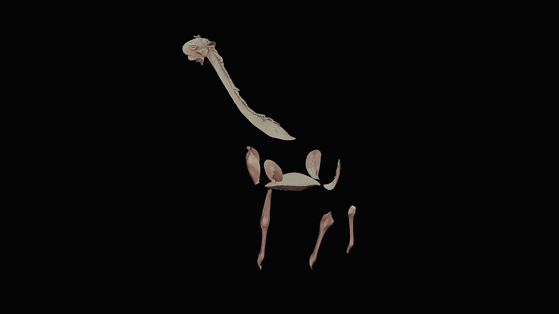 Zirafa_dily_VER1_sketch3 - 3D model by pecjiri [1eca415] - Sketchfab