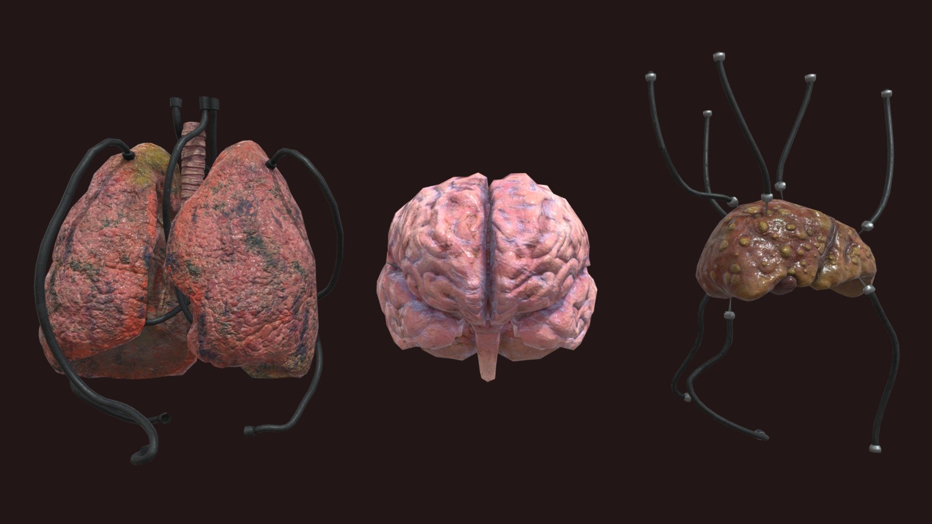 Poppy Playtime (Chapter 4) - Doctor's Organs - Download Free 3D model by MG Rips (@MG_GameRips ...