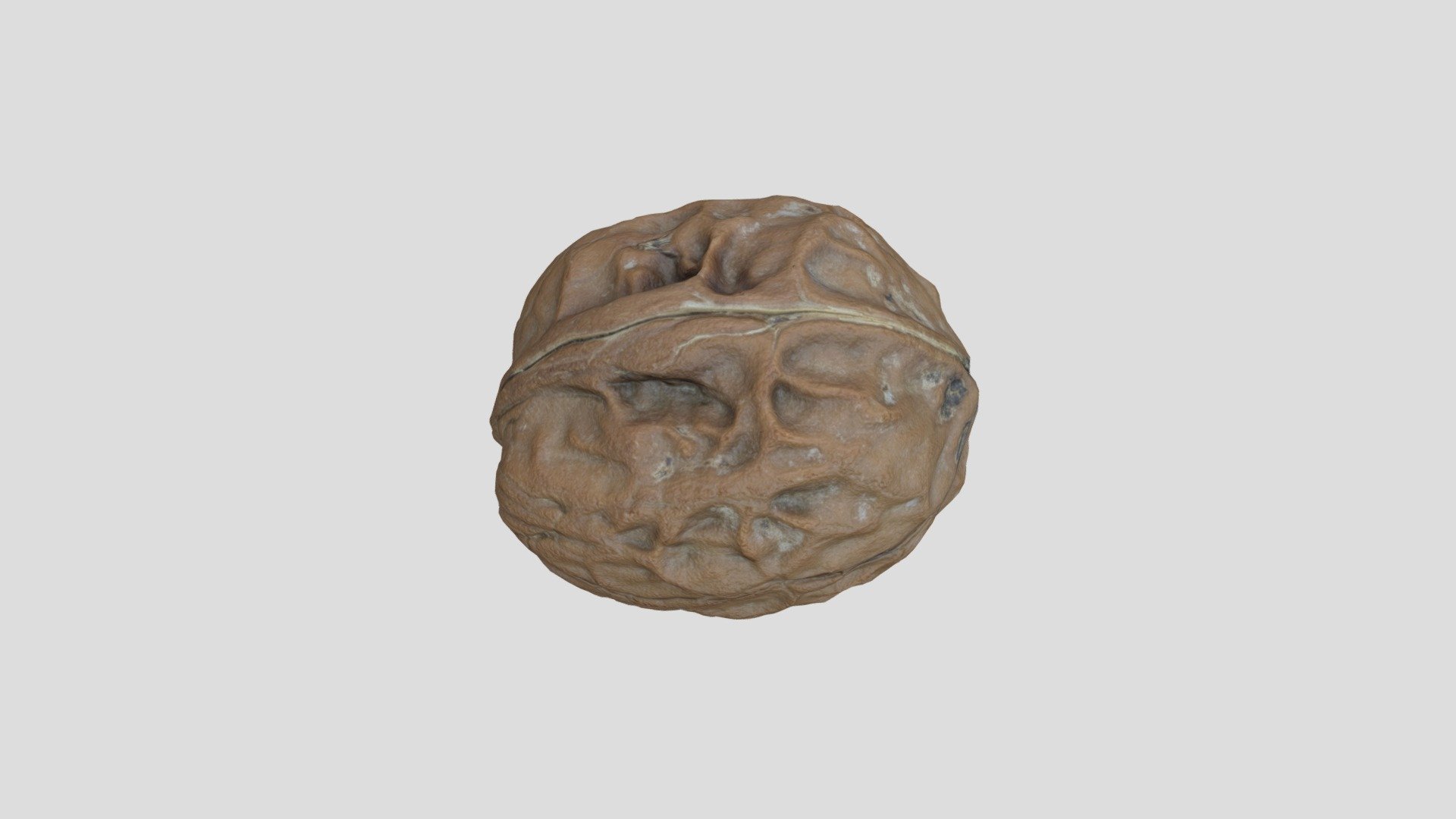 hetao-o - 3D model by mumu0910723 [1ed8a0a] - Sketchfab