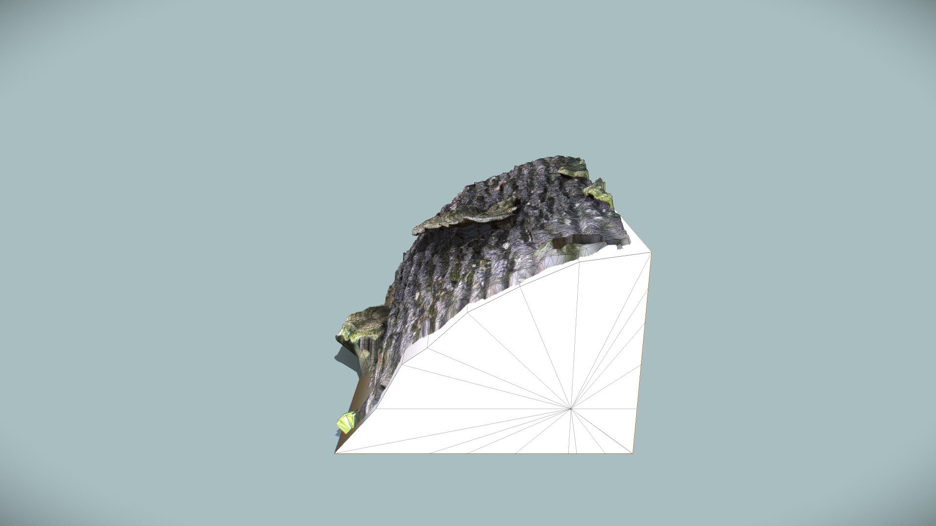 Mushrooms on Tree Bark - 3D Print Base - 3D model by GRIT (@GritNL ...