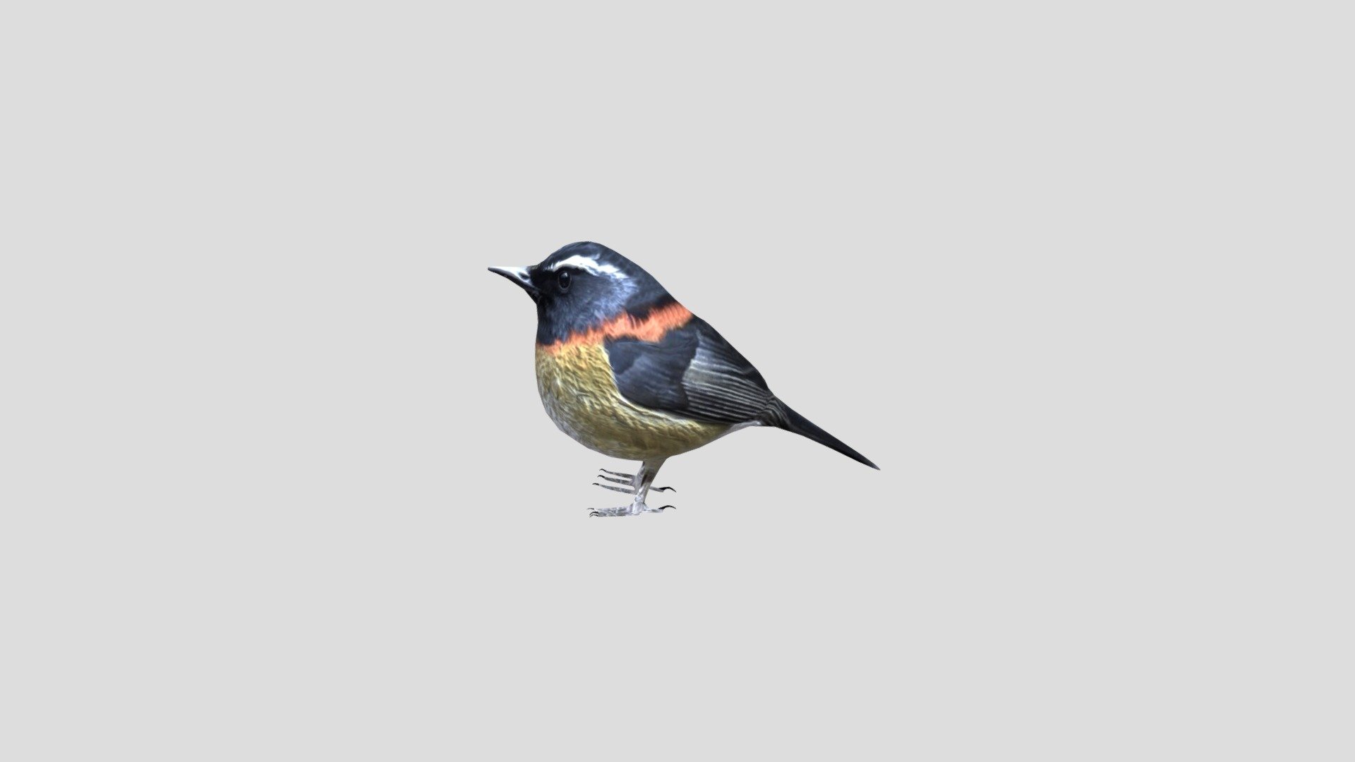 Homework-02 - 3D model by Meow_Tai [1eeafbb] - Sketchfab