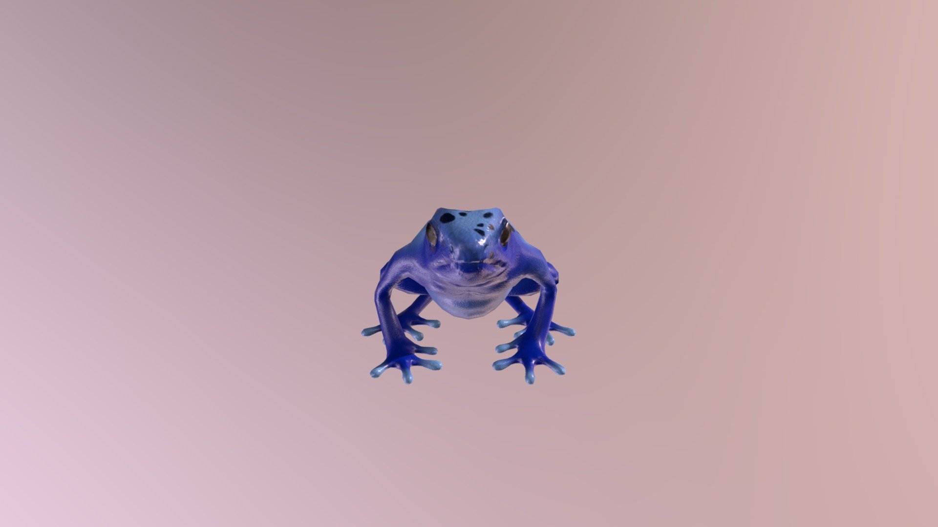 Frog Still - 3D model by polyanin [1eef4a7] - Sketchfab