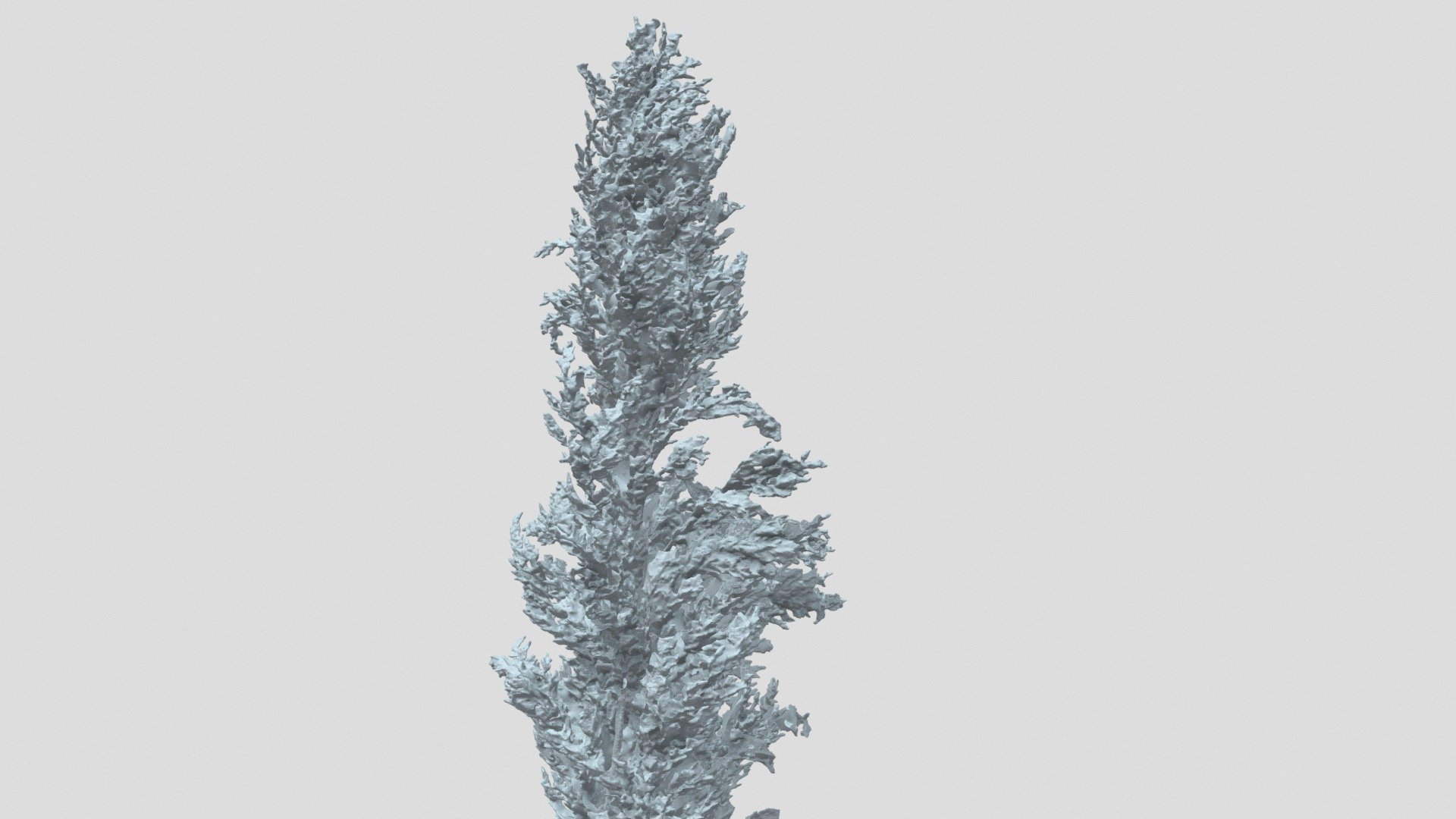 Wild Flower Study - 3D model by bhimanshu [1ef1086] - Sketchfab