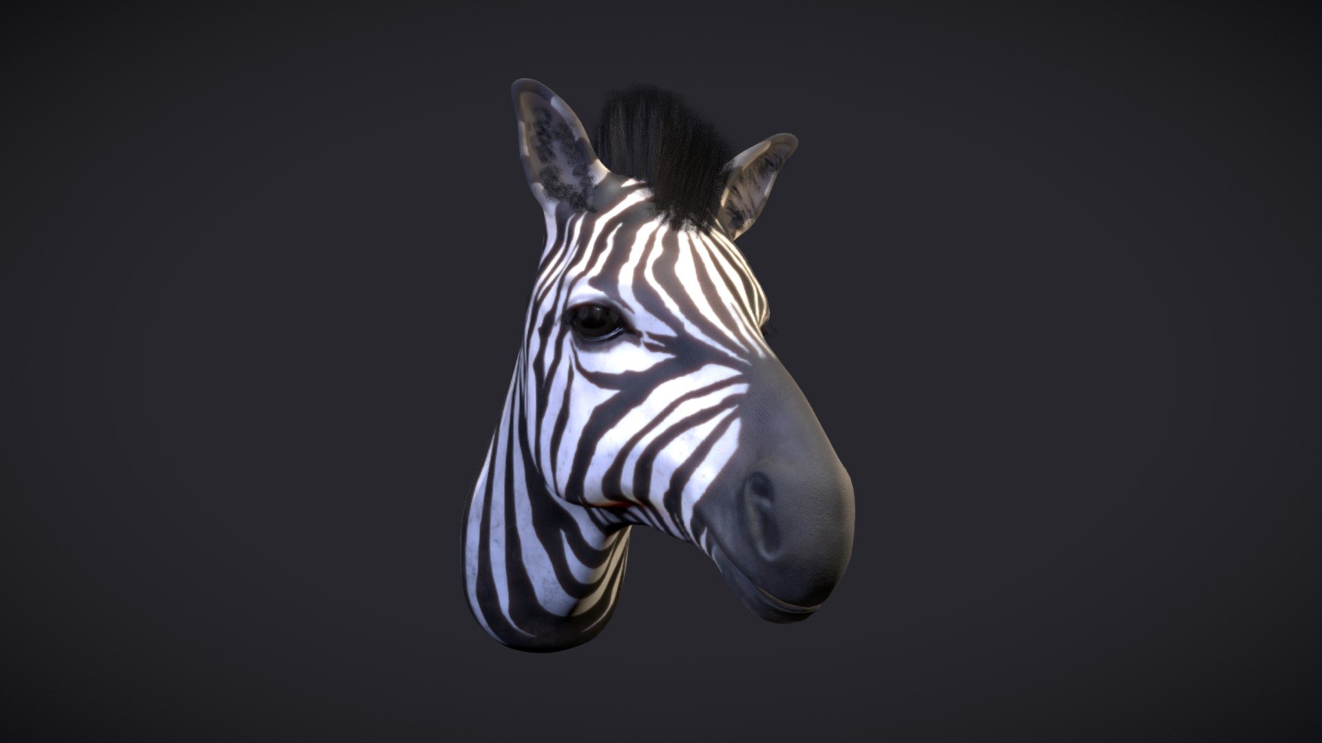 Zebra Bust - 3D model by TrevinoDamien06 [1ef79dc] - Sketchfab