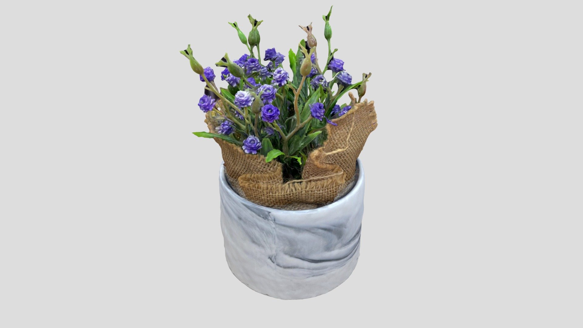 Lavender - 3D model by WilsonT3D (@WilsonTeo89) [1efc9c1] - Sketchfab