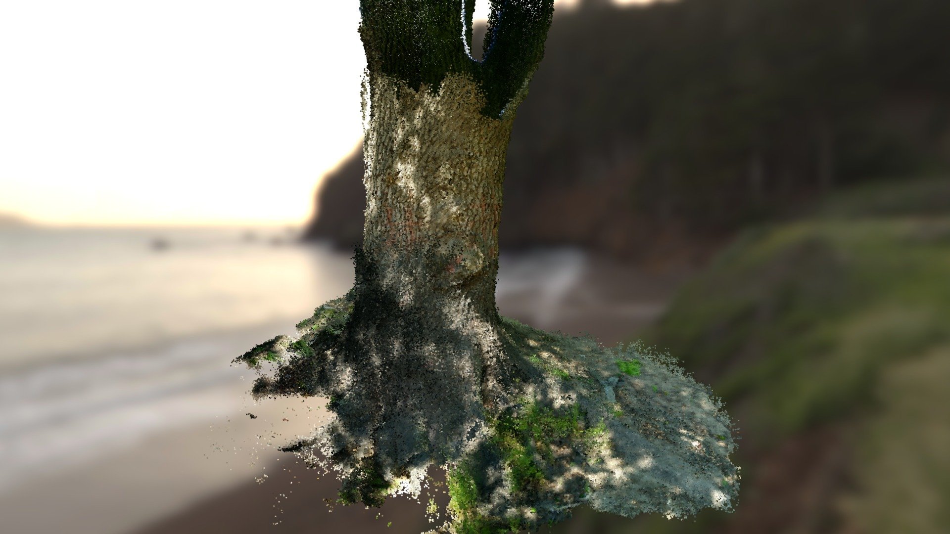 Tree 3D Scan - 3D model by Sircher [1f00f98] - Sketchfab