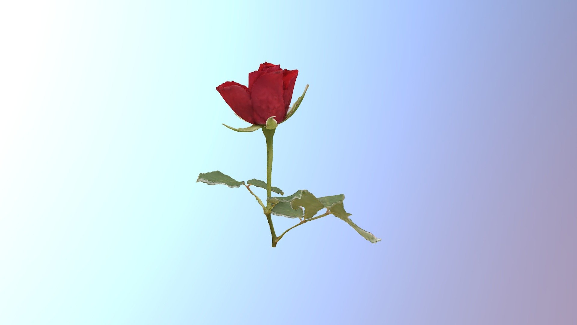 Roos 50mm - 3D model by Dajo.Brinkman [1f09bb0] - Sketchfab