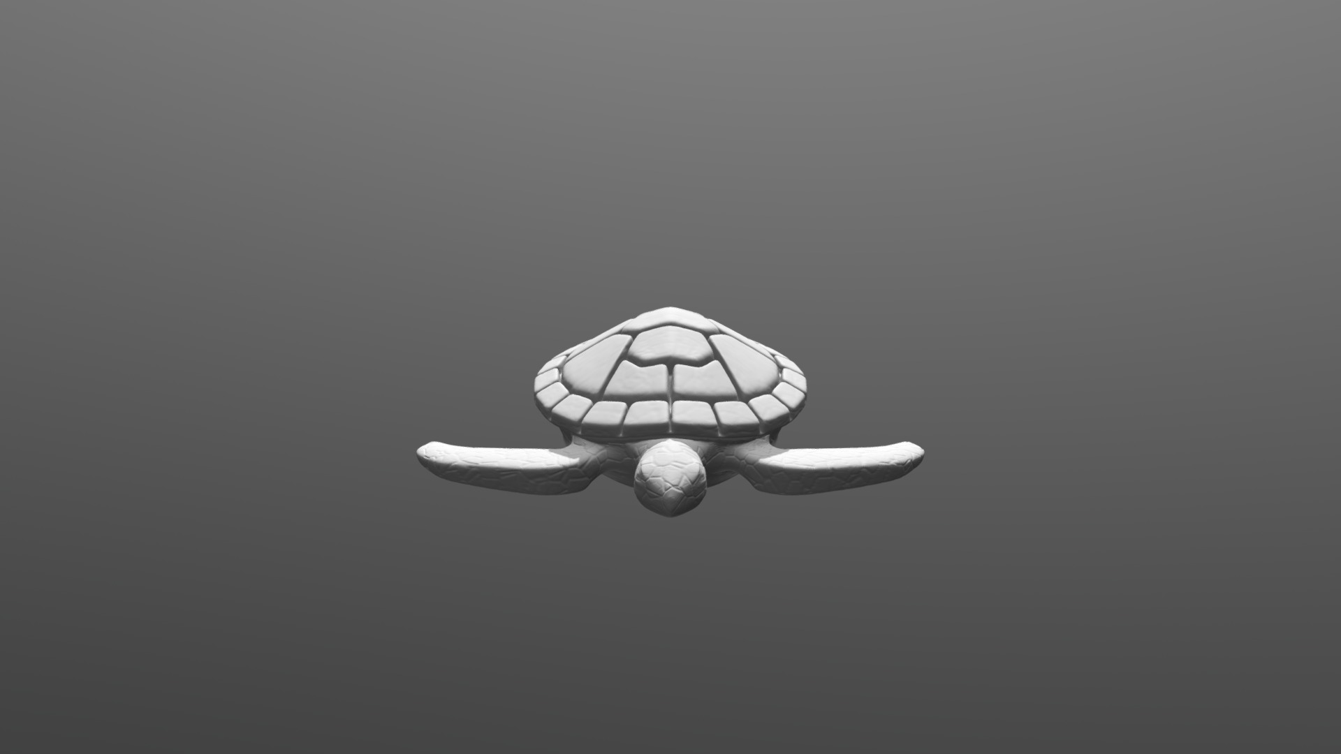 Turtle - 3D model by Dakotes (@lantripdakota) [1f16353] - Sketchfab