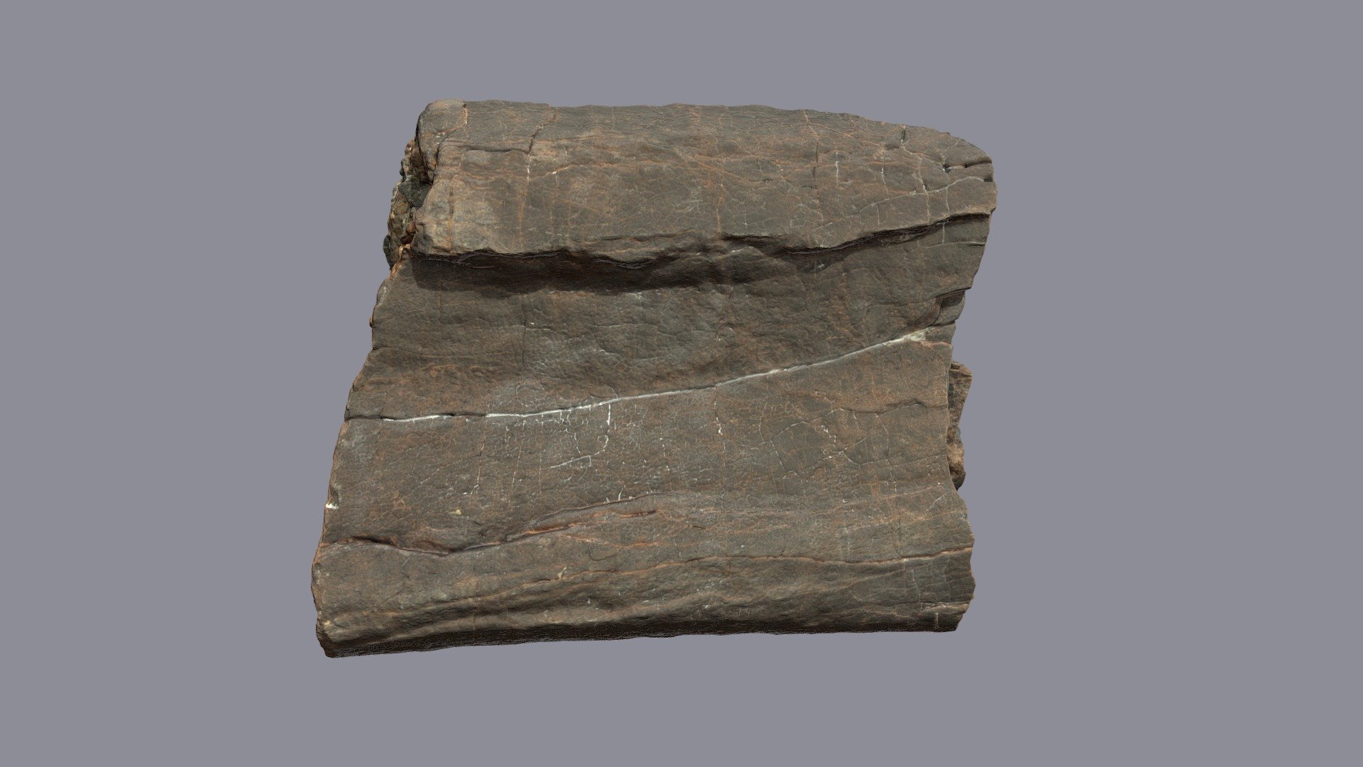 T-Rex 'Titus' Tibia C - 3D model by ThinkSee3D [1f19b20] - Sketchfab