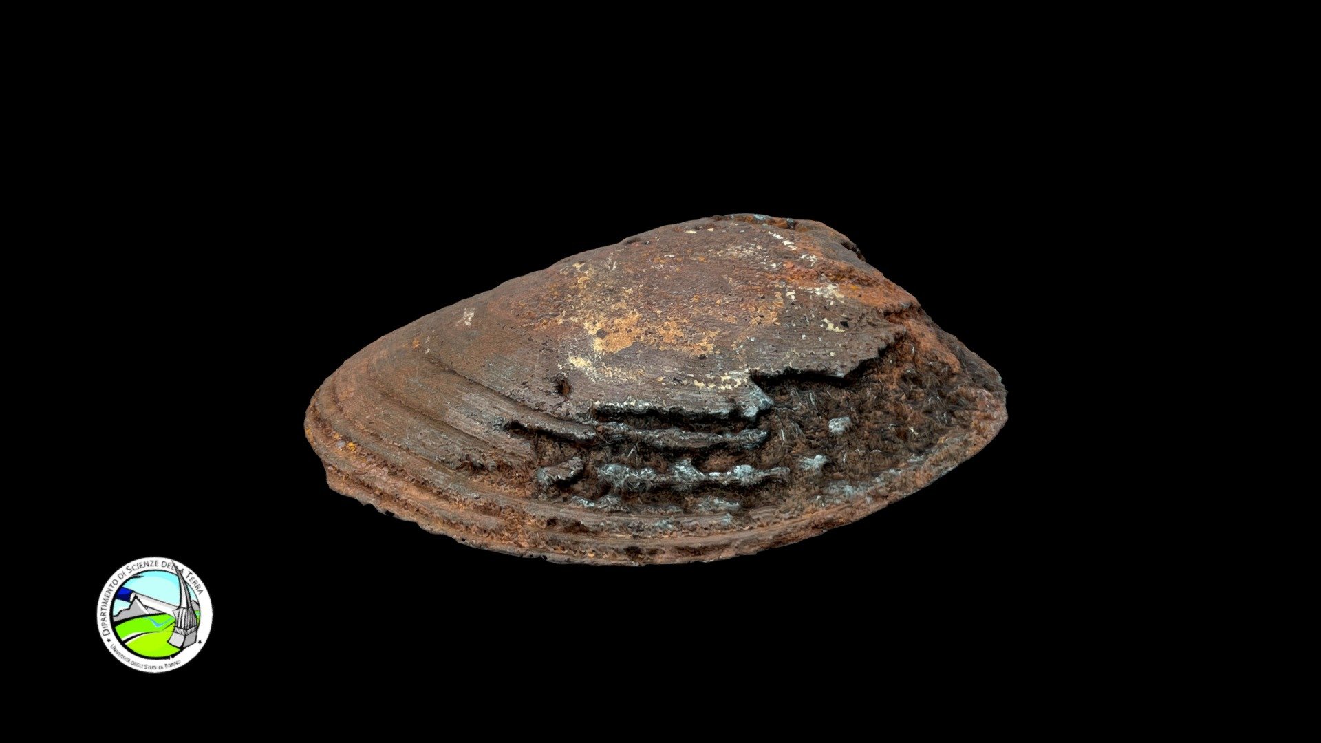 Cardinia - 3D model by Dipartimento di Scienze della Terra - UniTo ...