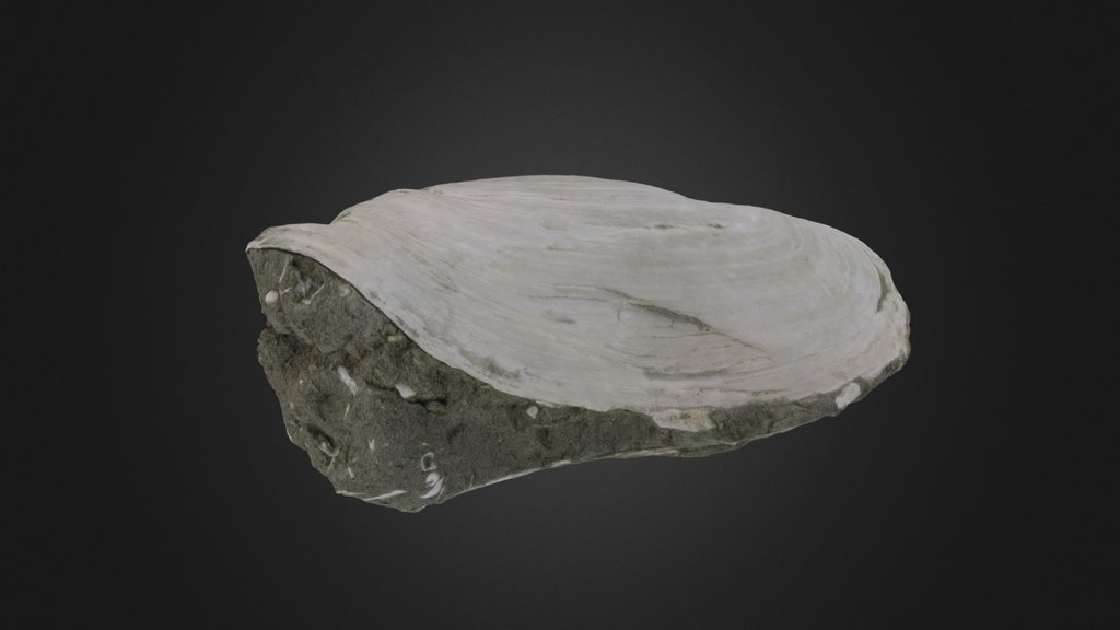 CC0 - A 3D model collection by Thomas Flynn (@nebulousflynn) - Sketchfab