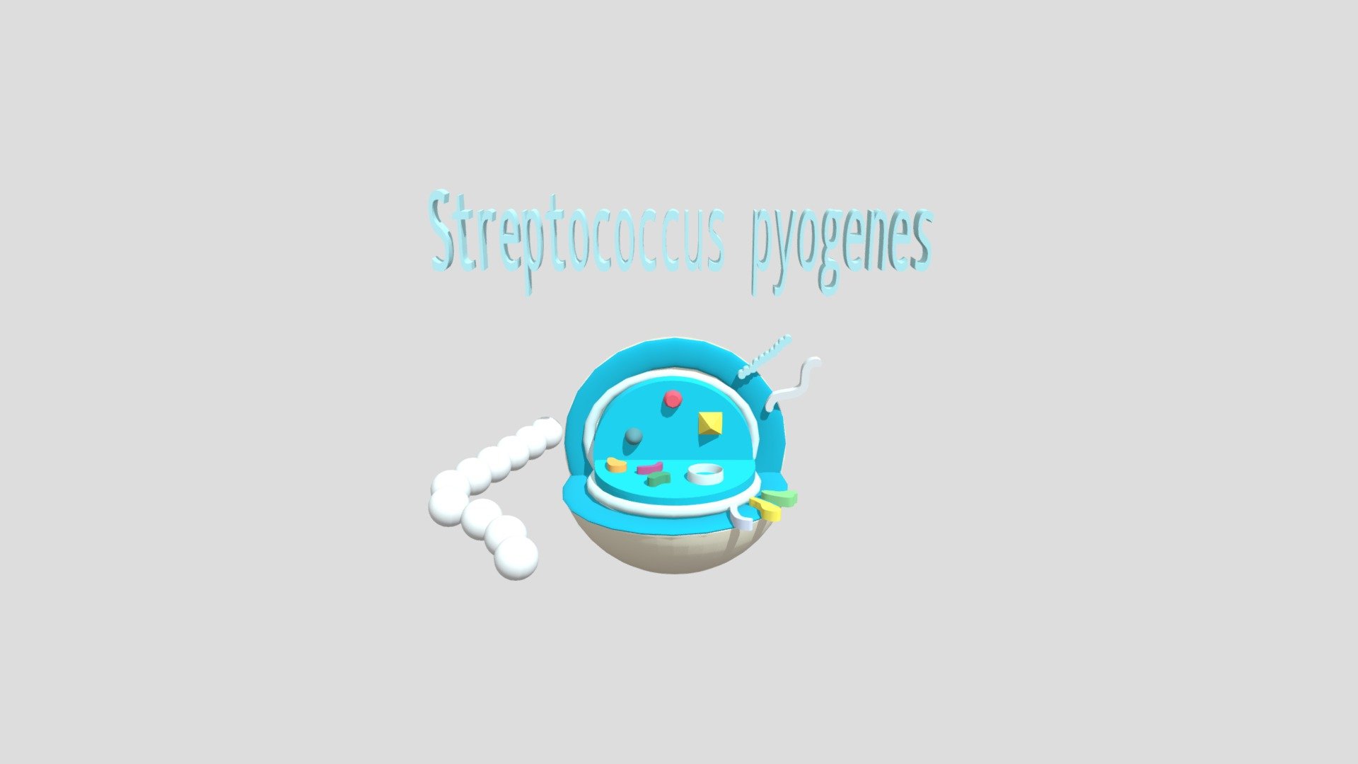 MICROUGHS_Streptococcus_pyogenes_inicialesest2 - 3D model by omartira ...