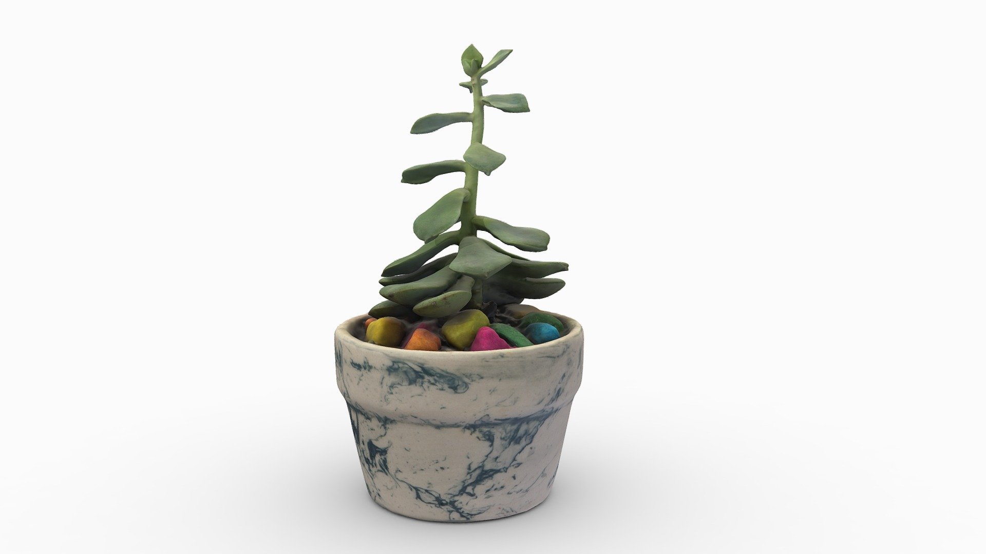 3D Plant with Flower Pot - Botanical Decor - 3D model by Incredimate ...