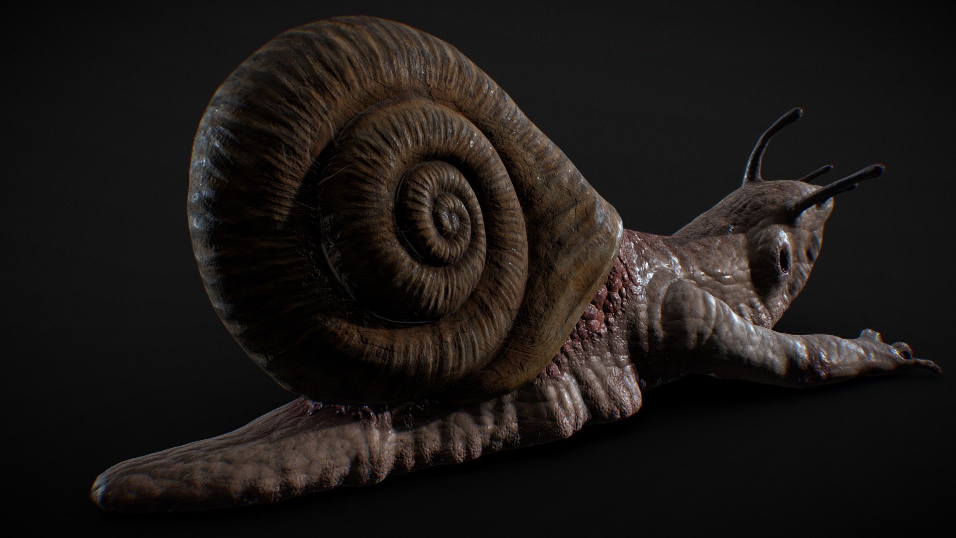 SNAIL - 3D model by Tamko Dmitry - Freelance 3d Character Artist ...