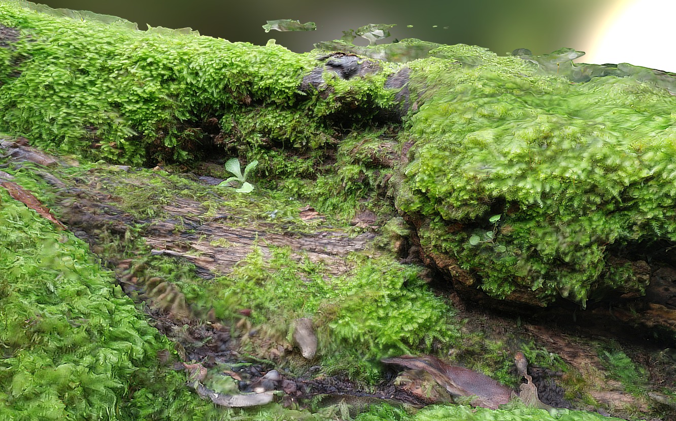 Moss Pit - 3D model by Larseroo [1f3e210] - Sketchfab