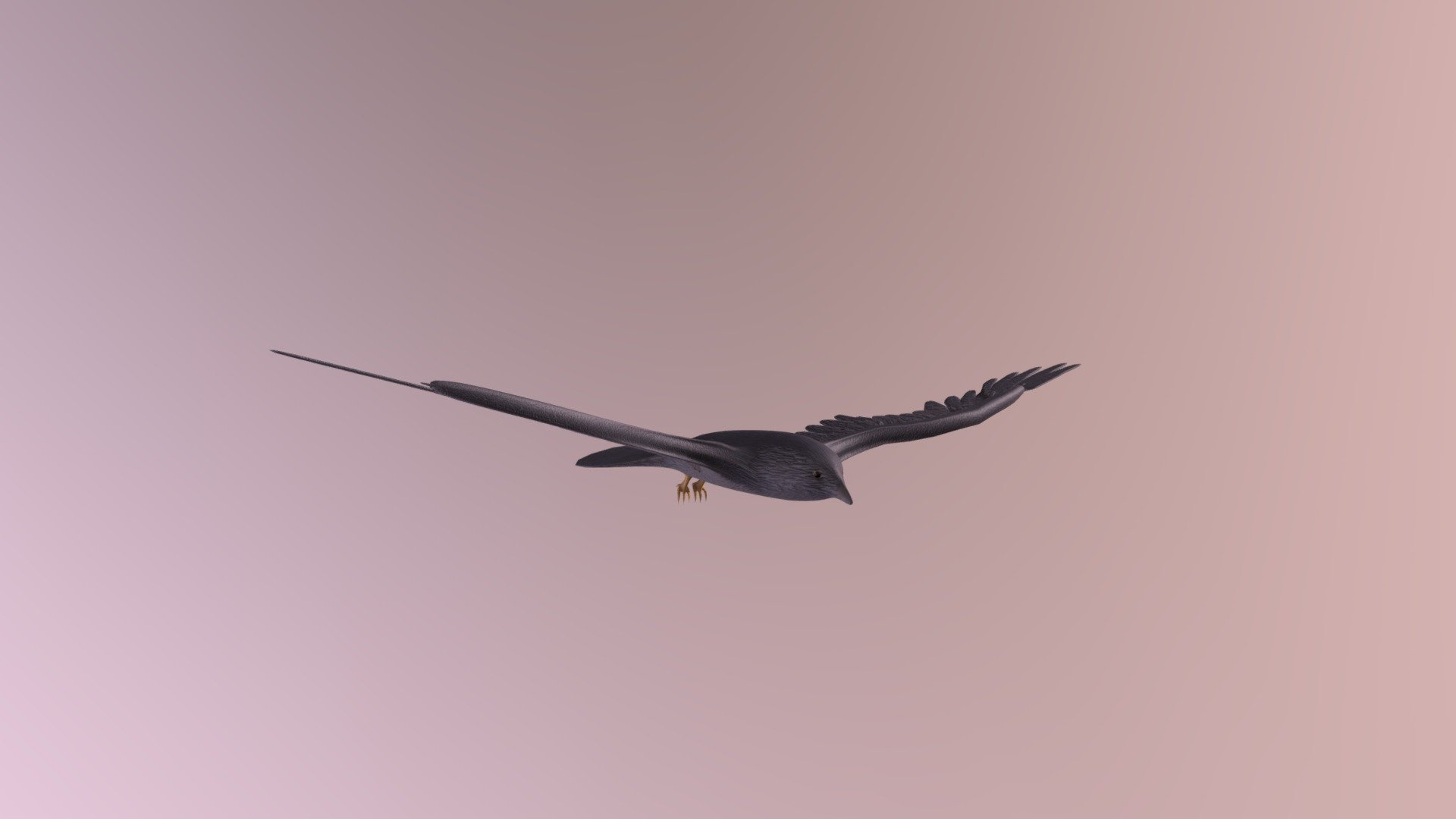 Raven Fly - 3D model by Georg1000 [1f502e7] - Sketchfab