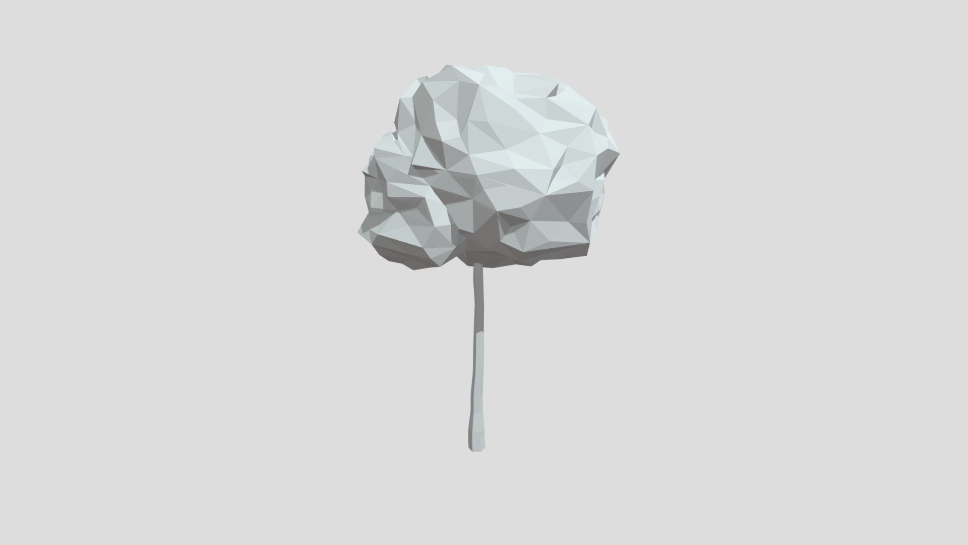 Brazil nut tree from Poly by Google - Download Free 3D model by ...