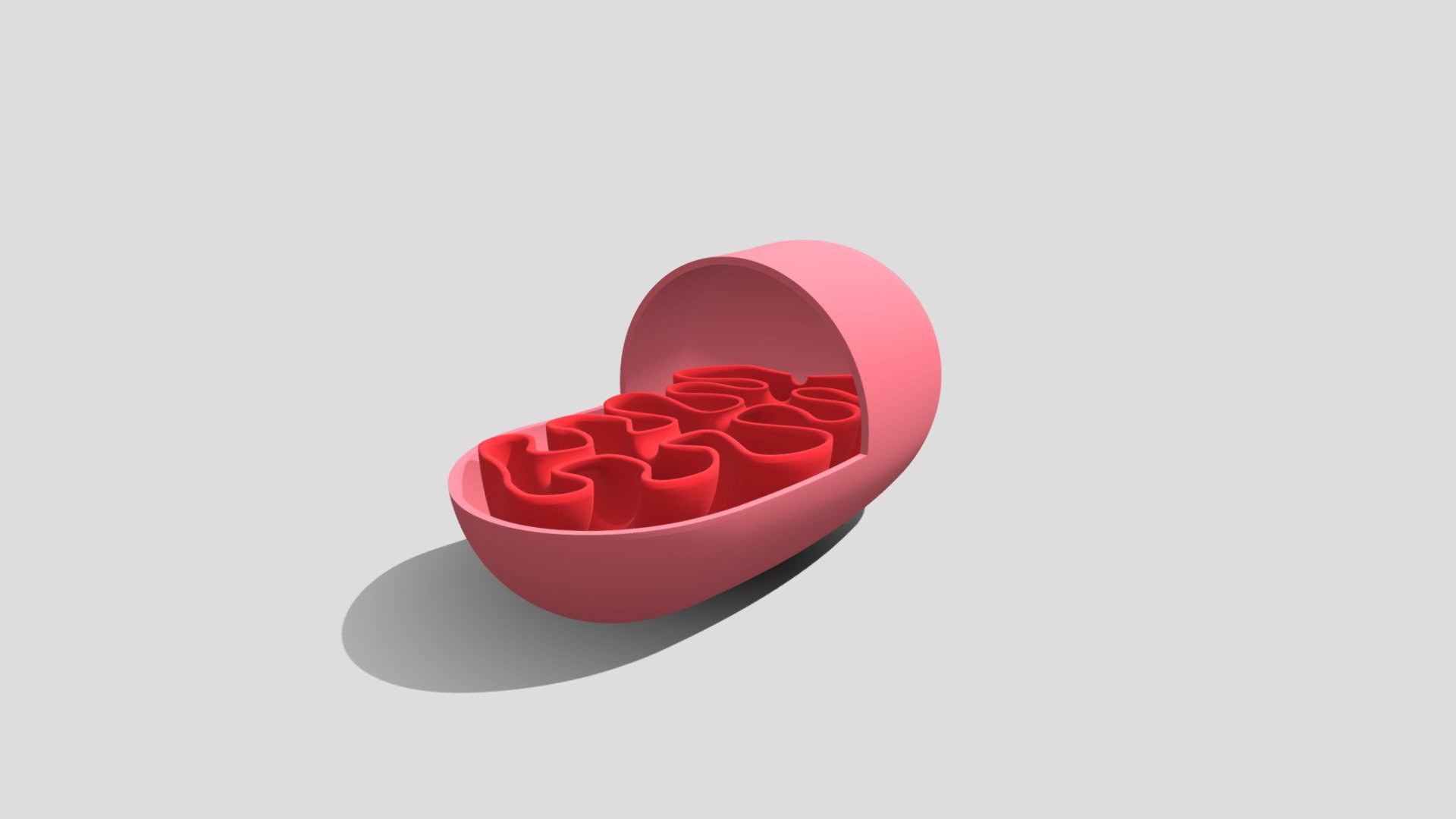 Mitochondria - 3D model by Patricia Rohrbacher (@patiii) [1f5ad70 ...