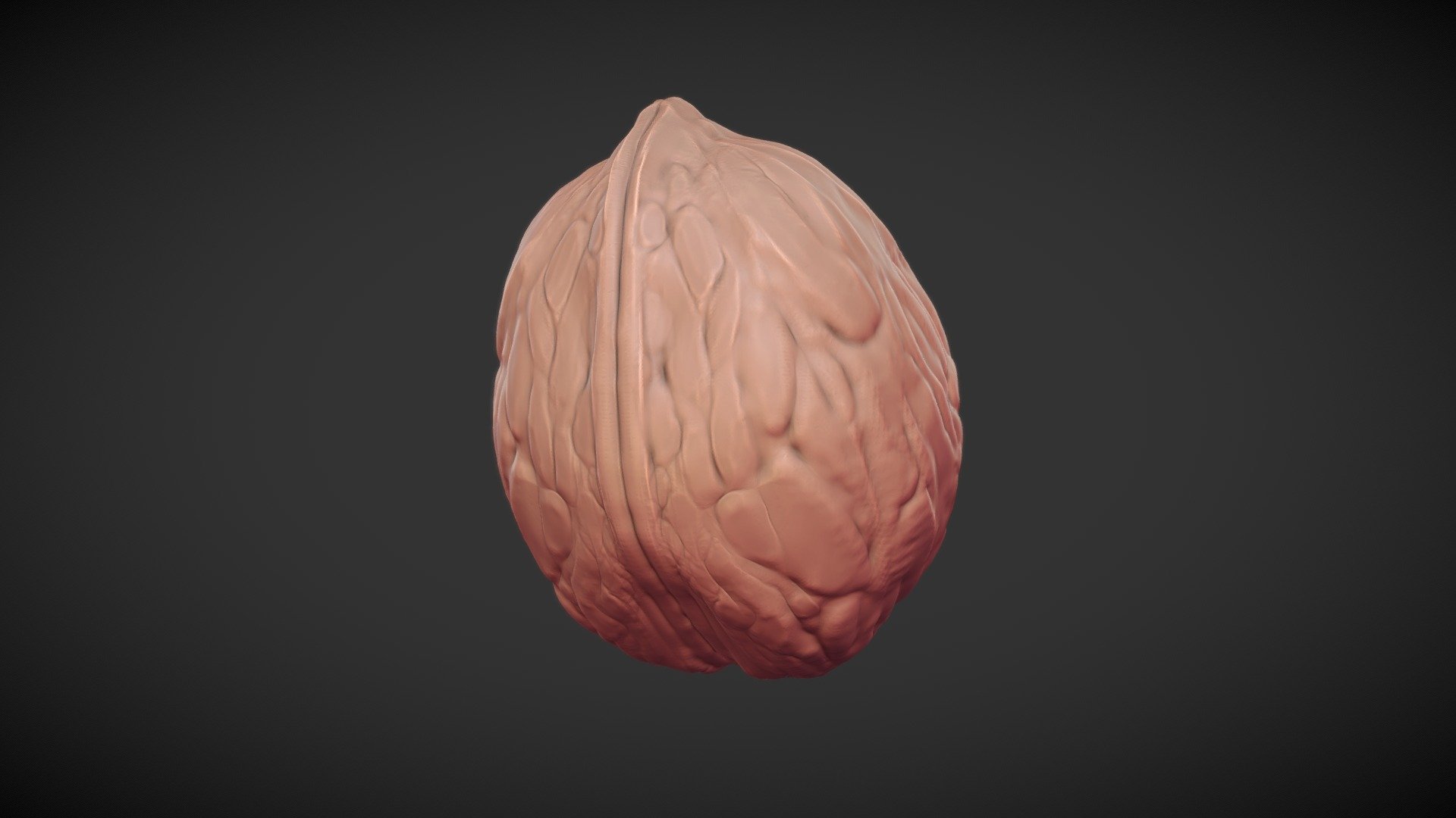 walnut 1 - Download Free 3D model by moga_bit [1f60de9] - Sketchfab