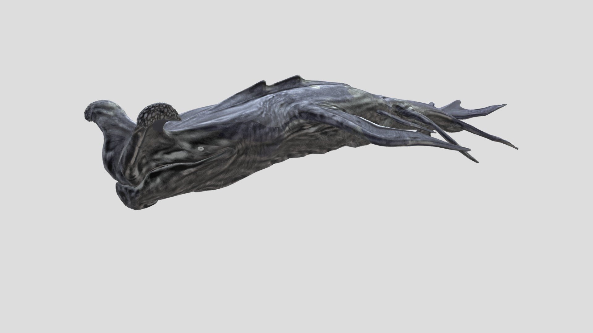 Avatar Tulkun #2 - 3D model by AmbiWise [1f64d2c] - Sketchfab