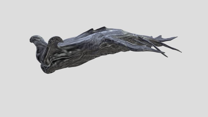 Avatar_tulkun_whale 3D models - Sketchfab