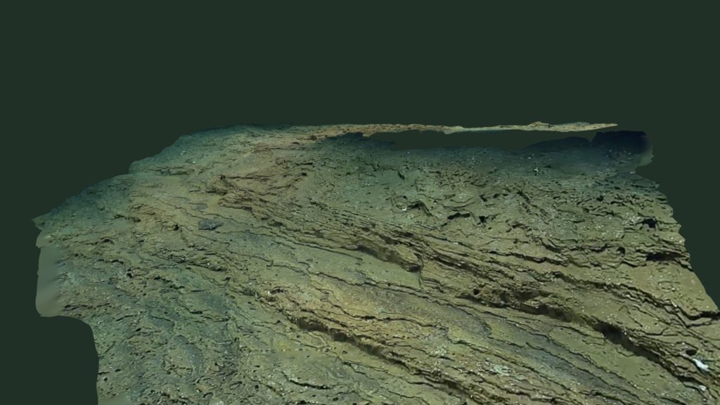 Ocean floor - A 3D model collection by Labicko - Sketchfab