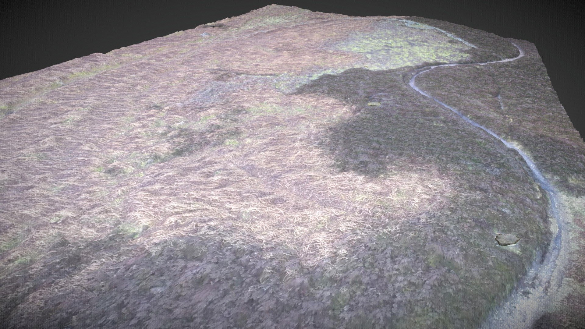 Backstone Beck Enclosure Carvings - Download Free 3D model by England's ...