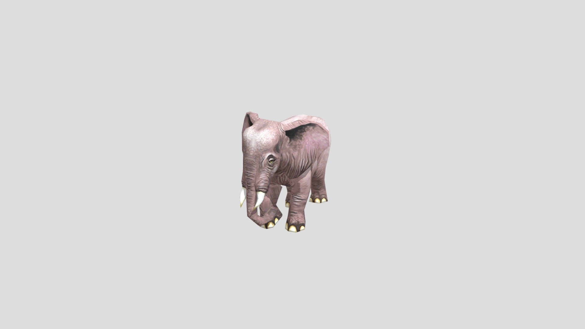 African Elephant Female (Zoo Tycoon 2) - Download Free 3D model by ...