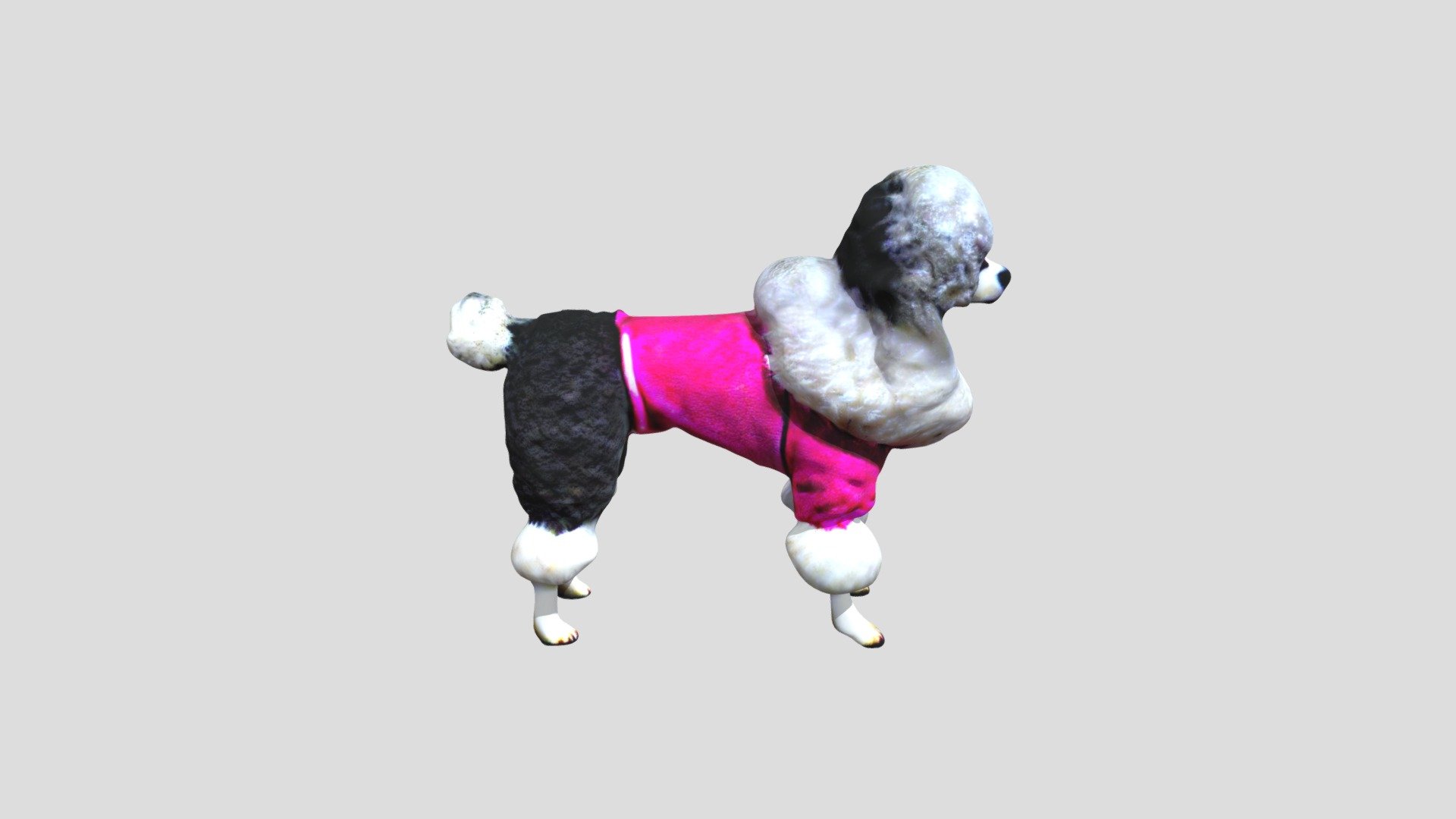 Fashion Pooch - Download Free 3D model by Technikole (@meetwo) [1f77e19 ...