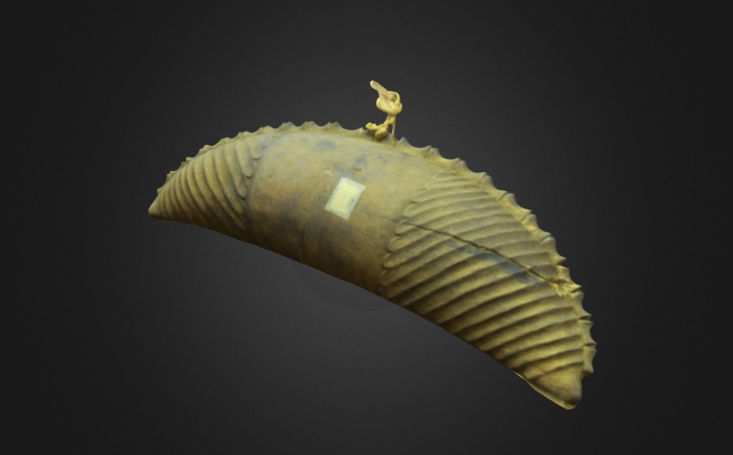 Ex80 - Mario Markovic - 3D model by Hrvoje Stancic (@hstancic) [1f8bc62 ...