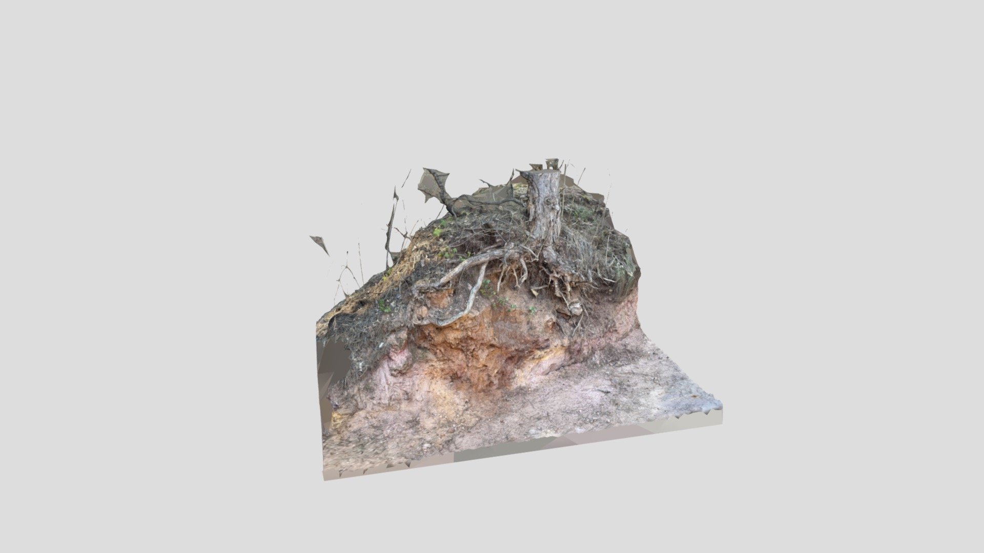 Tree’s roots - Download Free 3D model by nanaati [1f8de27] - Sketchfab