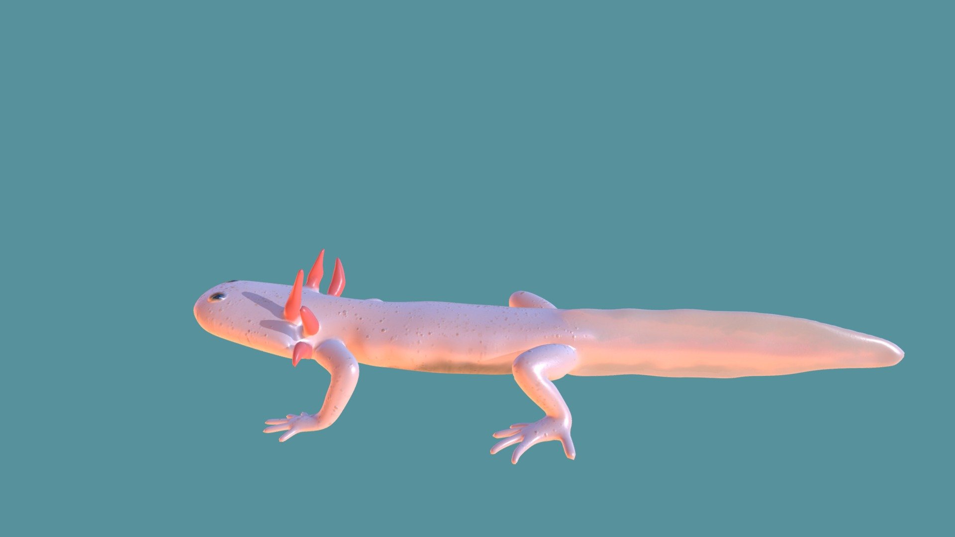 Axolotl - 3D model by Georgie-Mae (@GeorgieMae) [1f8f65c] - Sketchfab