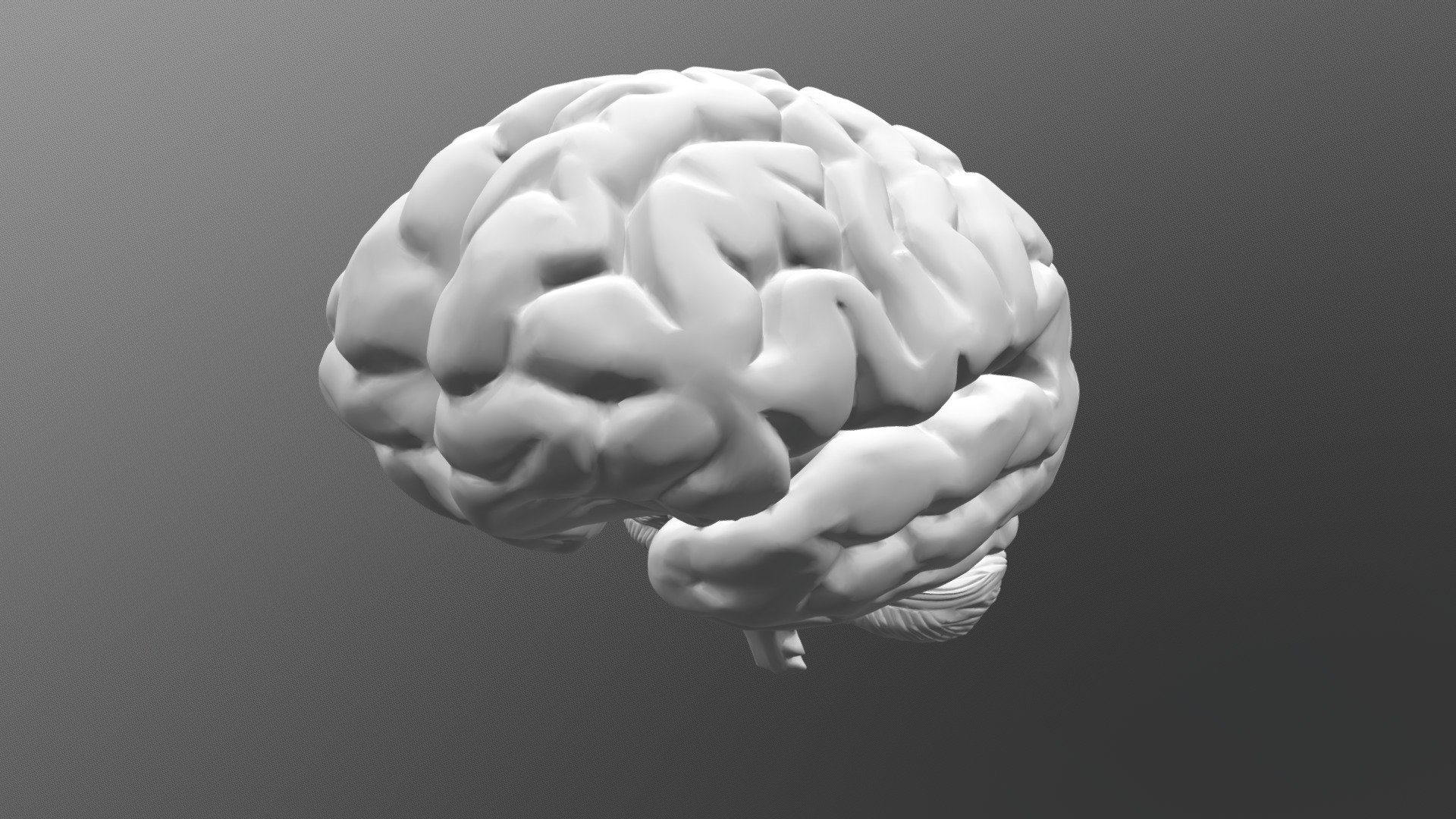 Human brain - Buy Royalty Free 3D model by davlem [1f9744a] - Sketchfab ...