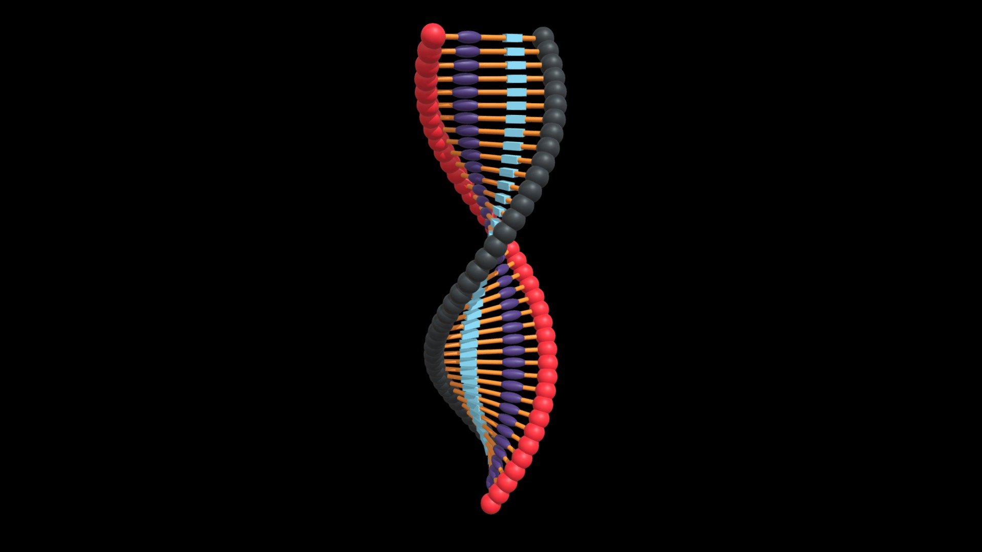 Double Helix W Extras Practice - Download Free 3D model by EfrenR ...
