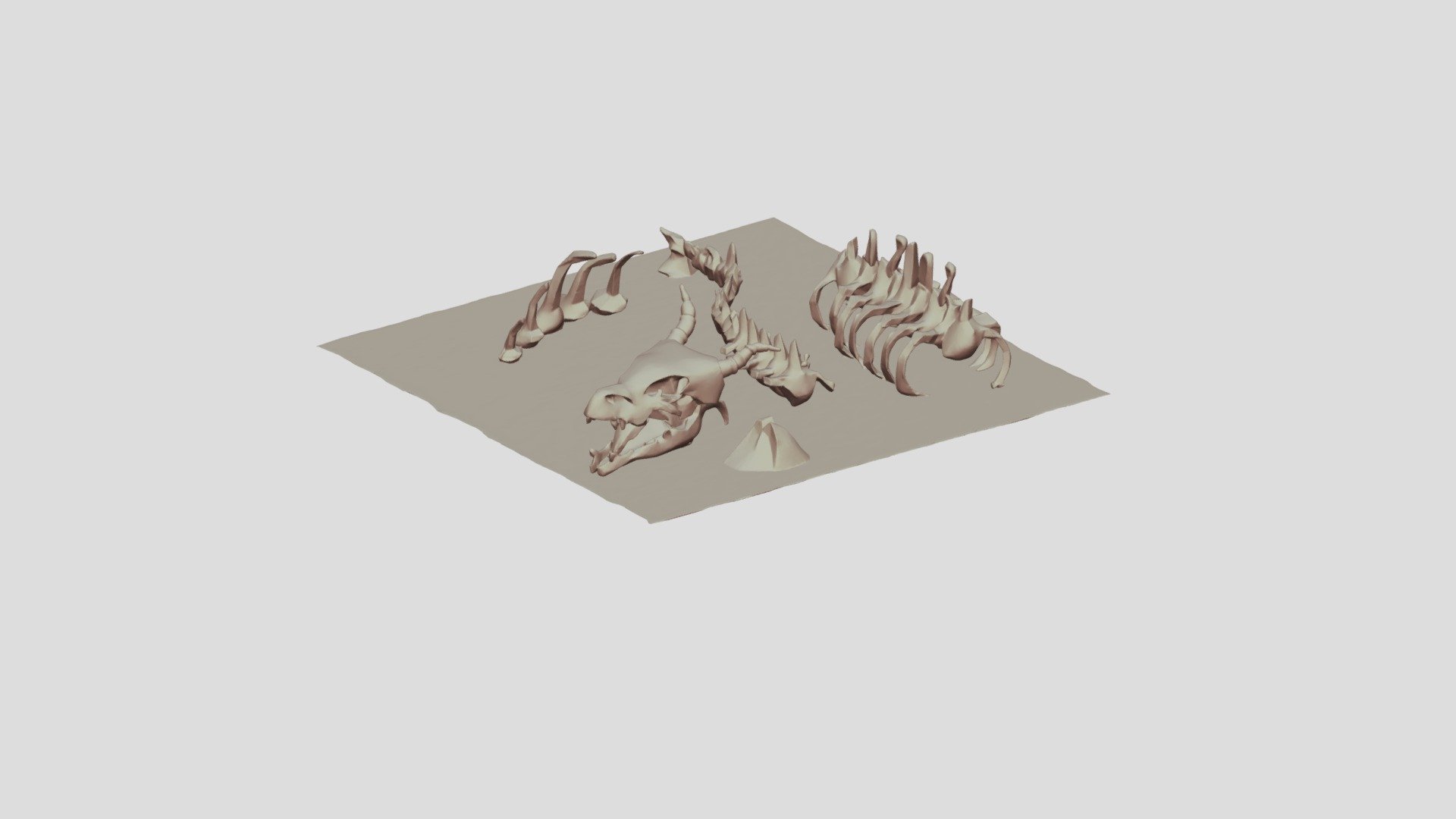 Fossil Arrangement - Download Free 3D model by pemadugt [1f9e3e4 ...